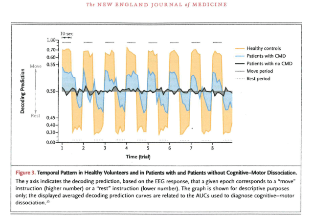 Detection of Brain Activation in Vegetative State by Standard ...